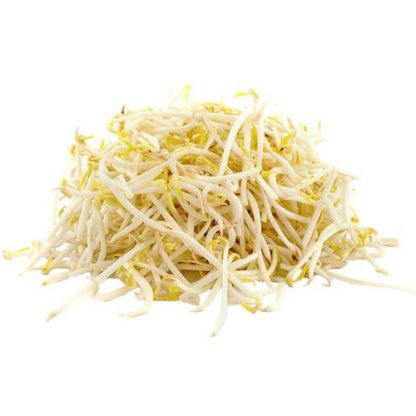 Bean Sprouts Local kg - Al Rizq Trading