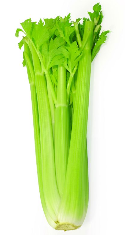 Celery Stick Imported - Al Rizq Trading