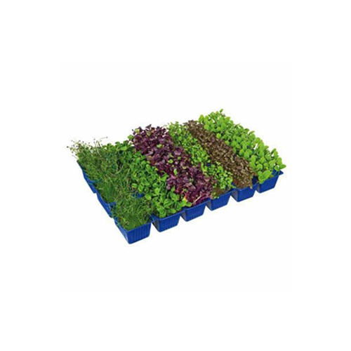 Sakura Mix Imported - Box - Al Rizq Trading